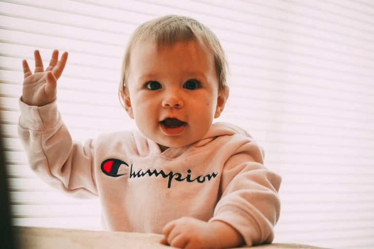 Bitcoin Baby completa um ano com valorização de 100% de seus ativos ...