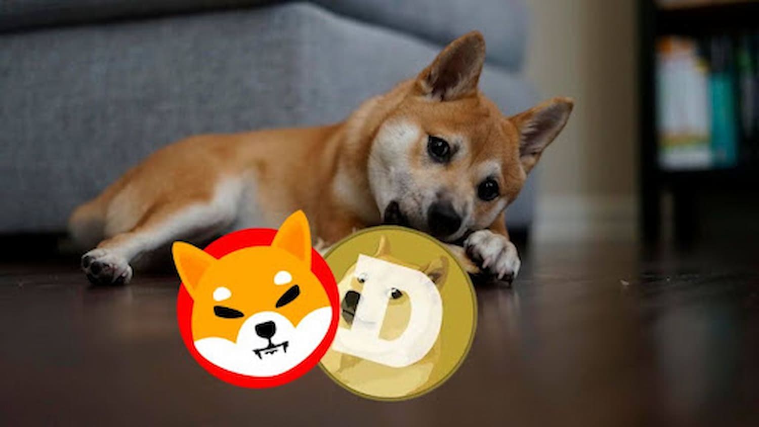 Transforme $200 em $30.000 em apenas 2 meses: As 5 principais ...