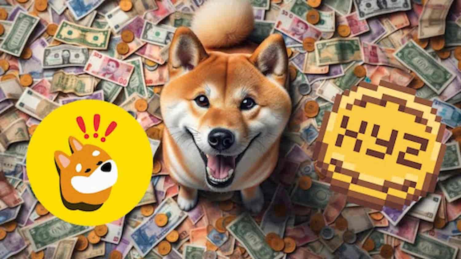 BONK e XYZVerse Indicados por Milionário do Dogecoin para Dominar o ...